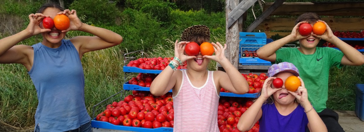 Salt of the Earth Farm Kingston~Lyndhurst | Field and Forest